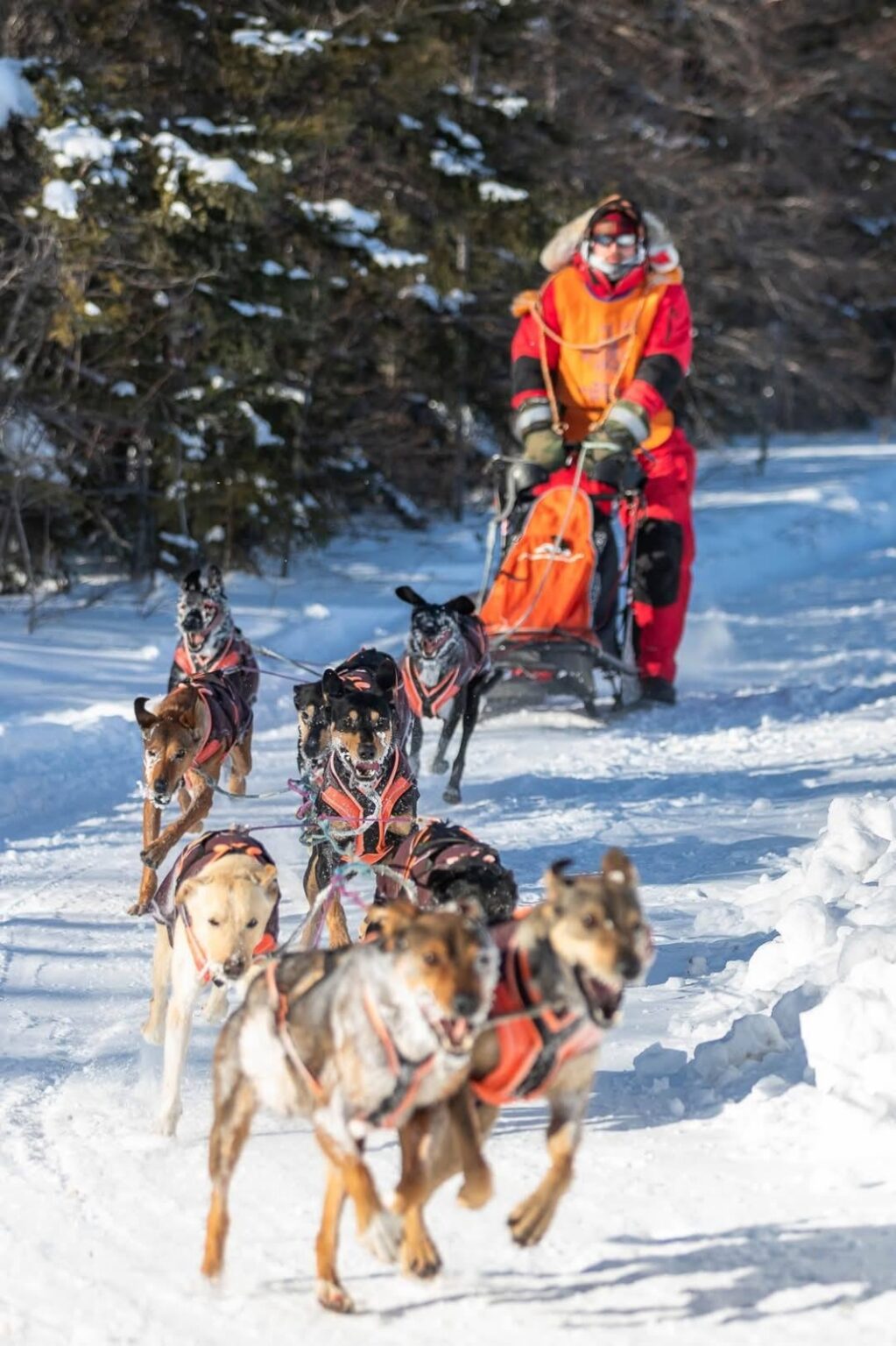Northern Manitoba Trappers’ Festival – The Pas Friendship Centre